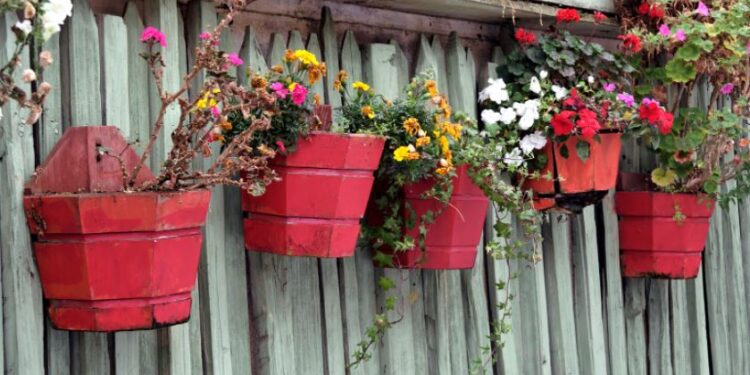 Tips For Beautiful Planters - Australian Blog